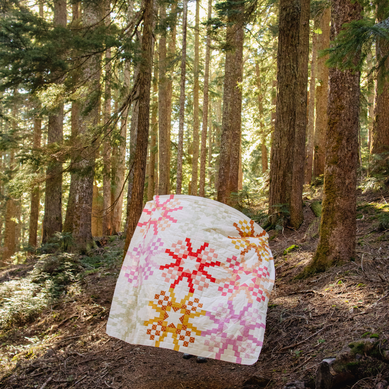 Welcome Home Quilt Pattern (Download) – Toad and Sew