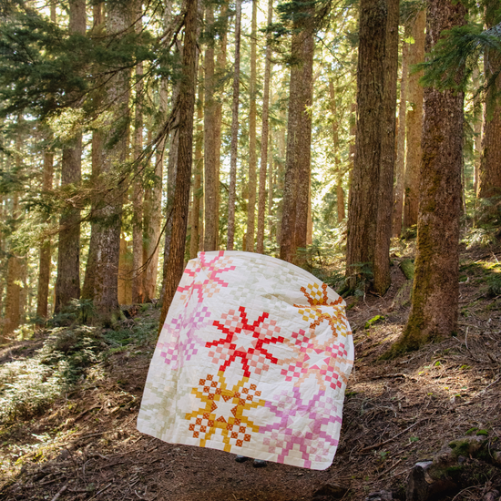 Welcome Home Quilt Pattern (Download) – Toad and Sew